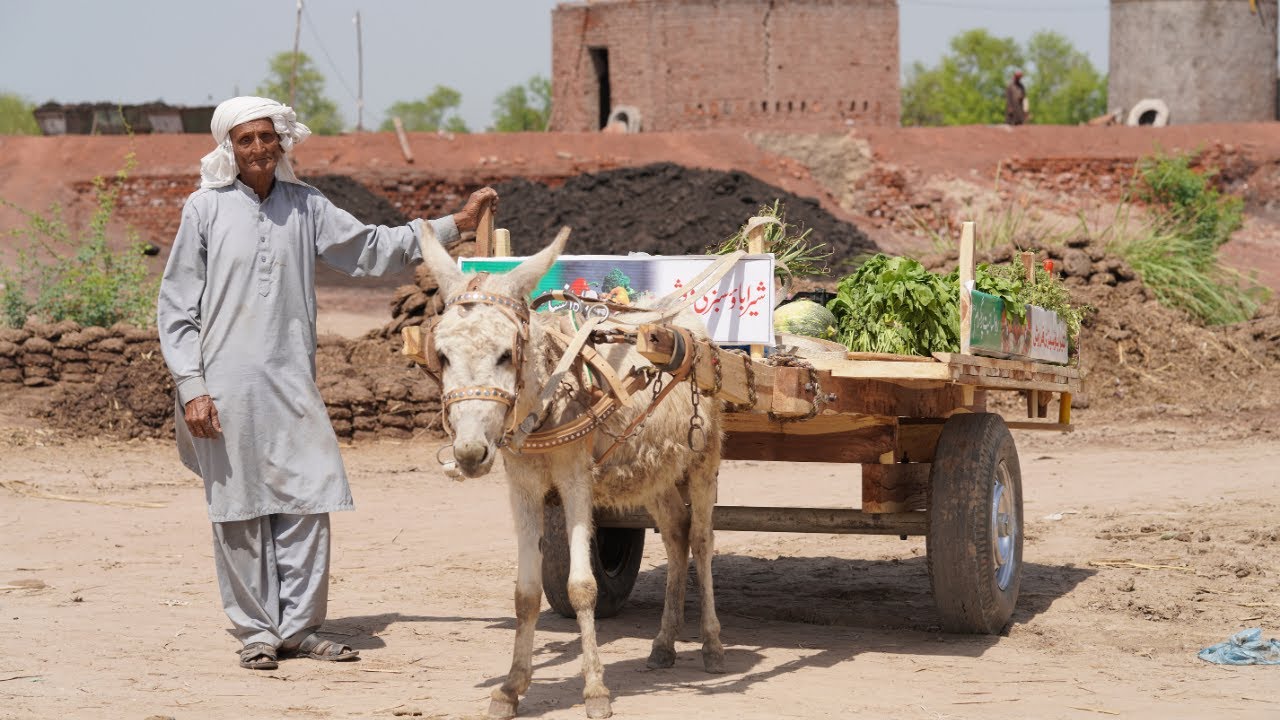 Passion of Hard Working | Donkey cart for this amazing man - YouTube
