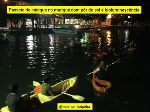 Passeio de caiaque no mangue com pôr do sol e bioluminescência!
