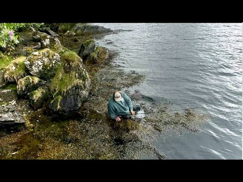 Mackerel, Pollack & Wrasse fishing in Arrochar! Sea fishing in Loch ...