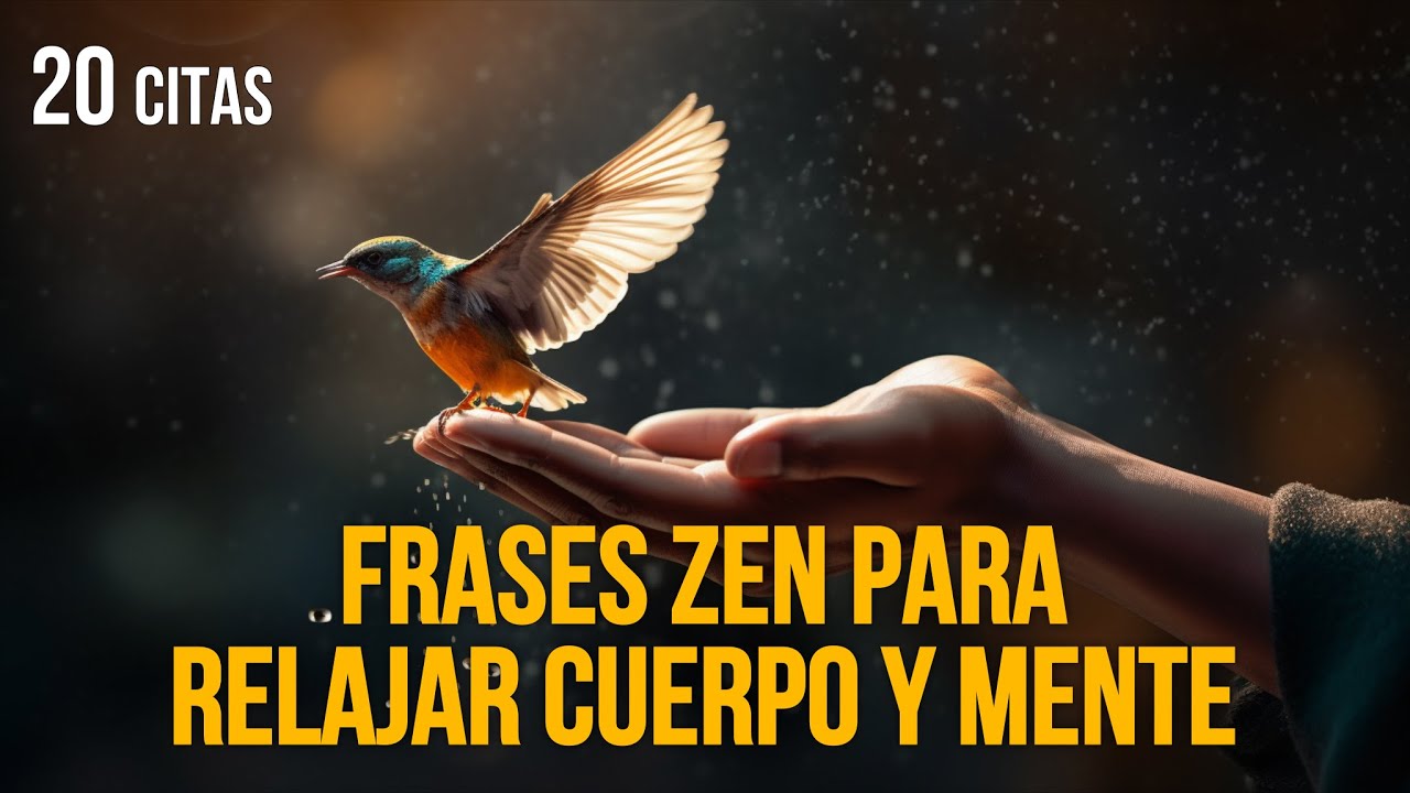20 Frases ZEN ilustradas para RELAJAR CUERPO y MENTE - YouTube