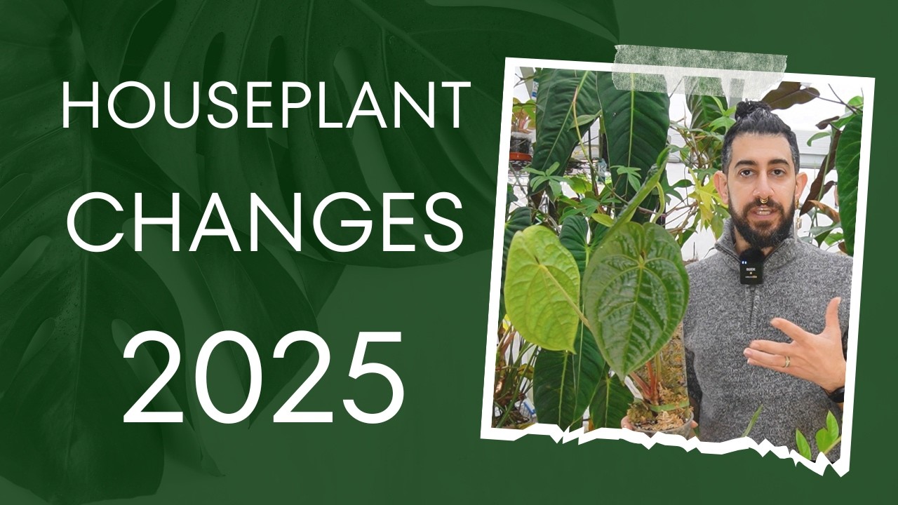 🌿 Top 5 Houseplant Trends for 2025 – Surprising Predictions! 🤔 - YouTube