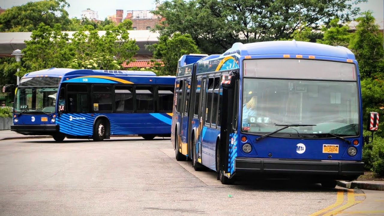 2016 Novabus LFSAs #5439 and #5441 & 2010 Novabus LFSA #1249 on the ...