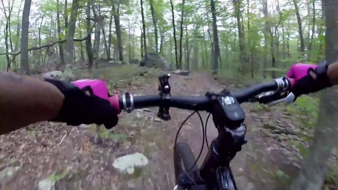 MTB after work | F. Gilbert State Forest | Foxboro MA - YouTube