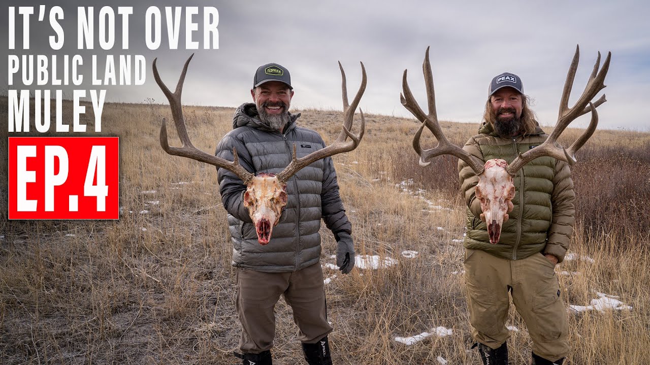 IT'S NOT OVER! | PUBLIC LAND MULEY | BACKPACK HUNT | 4K VIDEO | EP 4 ...
