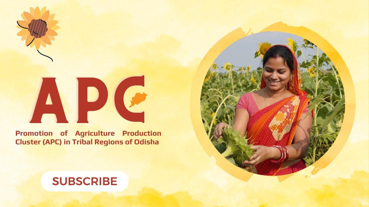 Agriculture Production Cluster Project - YouTube