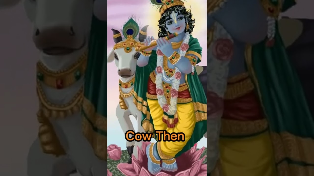 Cow Now vs Cow Then #shorts - YouTube