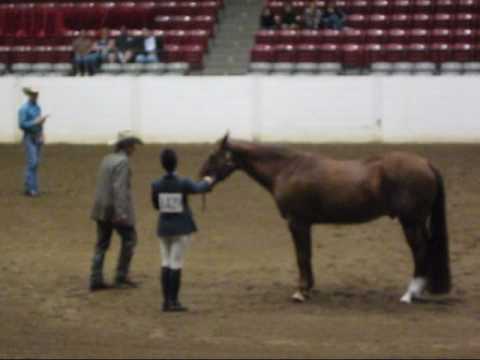 AAYHS English Showmanship - YouTube
