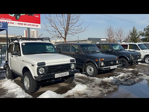 24 декабря 2025 г.NIVA NARXLARI SERGELI MOSHINA BOZORI ARZON NIVA NARXLARI SERGELI MOSHINA BOZORI