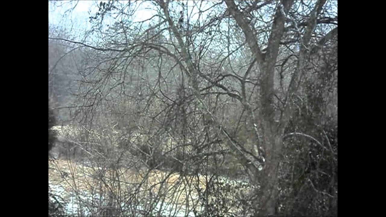 "From a Day of Falling Snow," a poem by Jeff Hardin - YouTube
