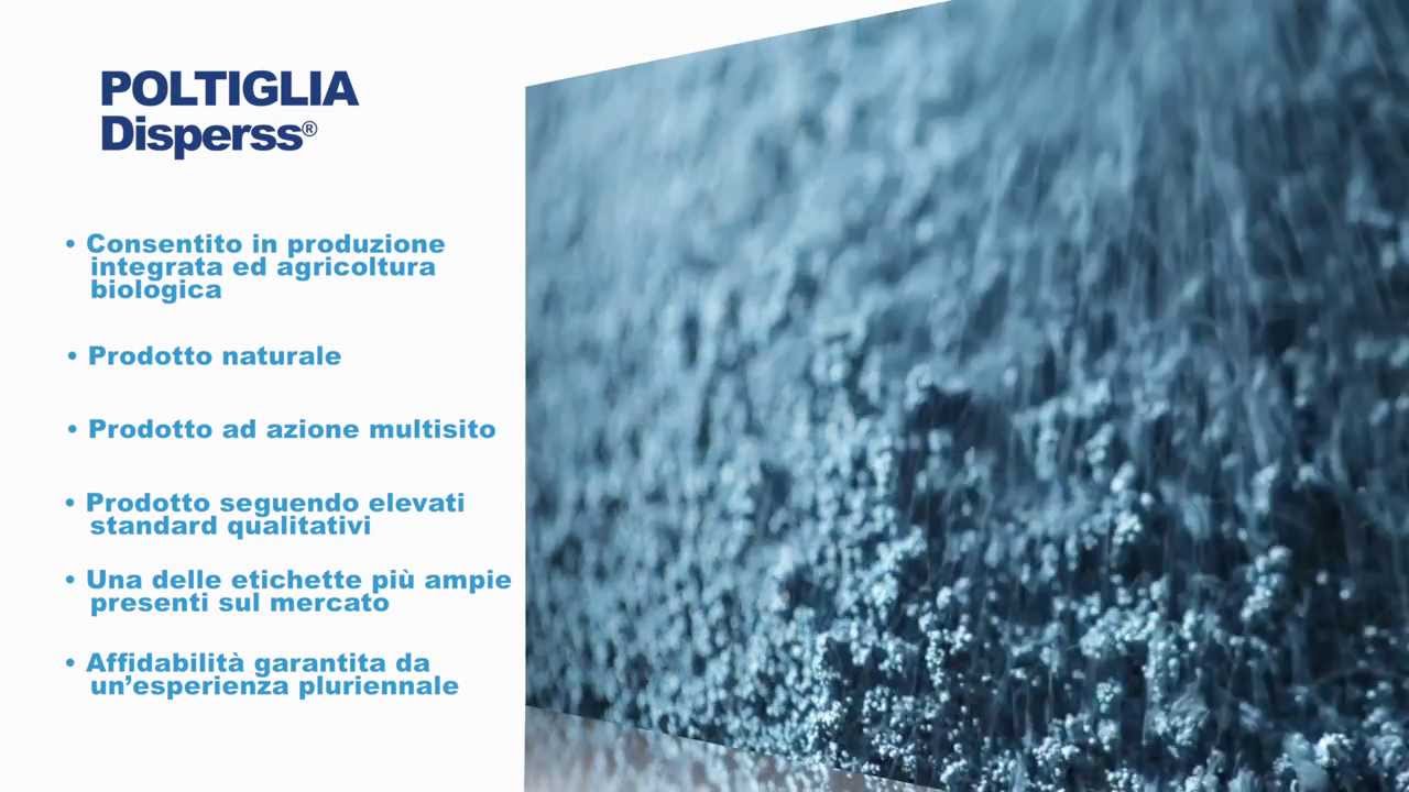 Test dispersione Poltiglia DISPERSS - YouTube