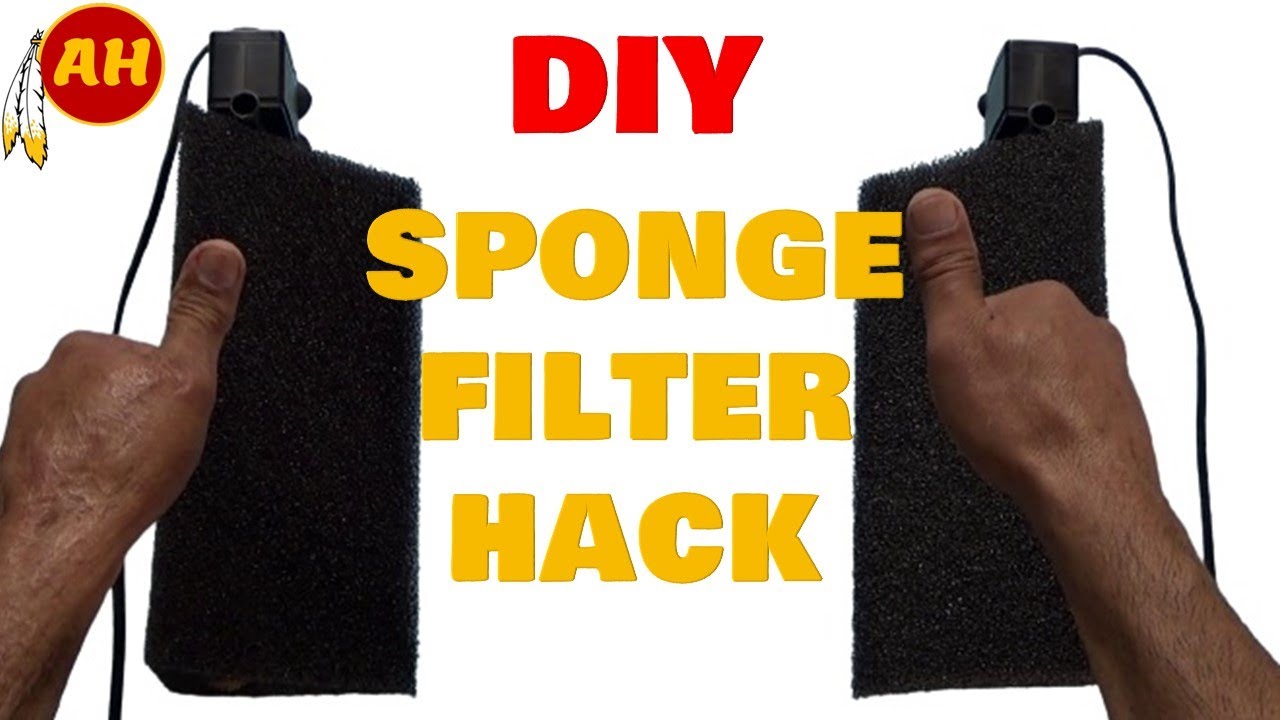Sponge Filter Hack - YouTube