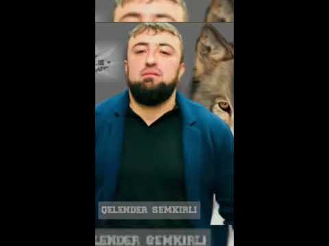 Qelender Shemkirli 2020