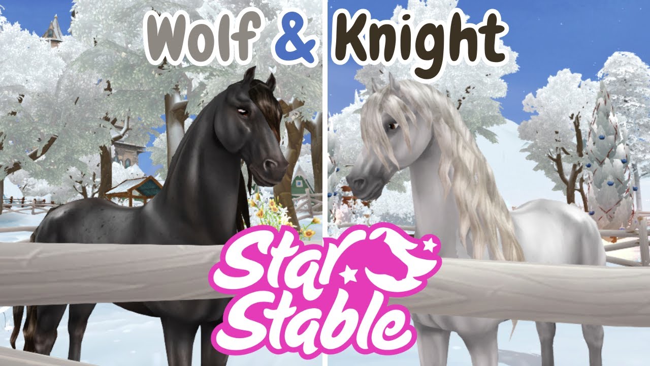 Achats de Wolf & Knight !!! Star Stable Online - YouTube