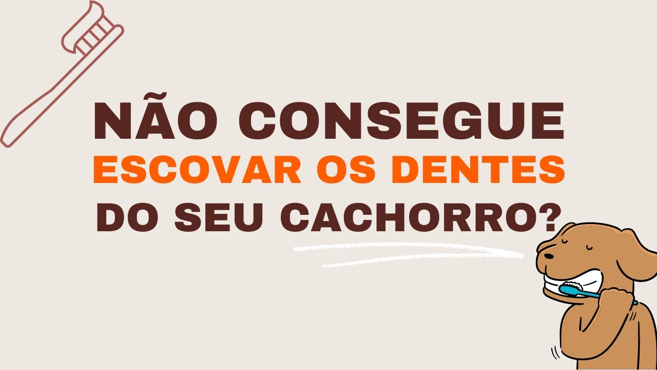 Como manter os dentes limpos sem precisar escovar? - YouTube
