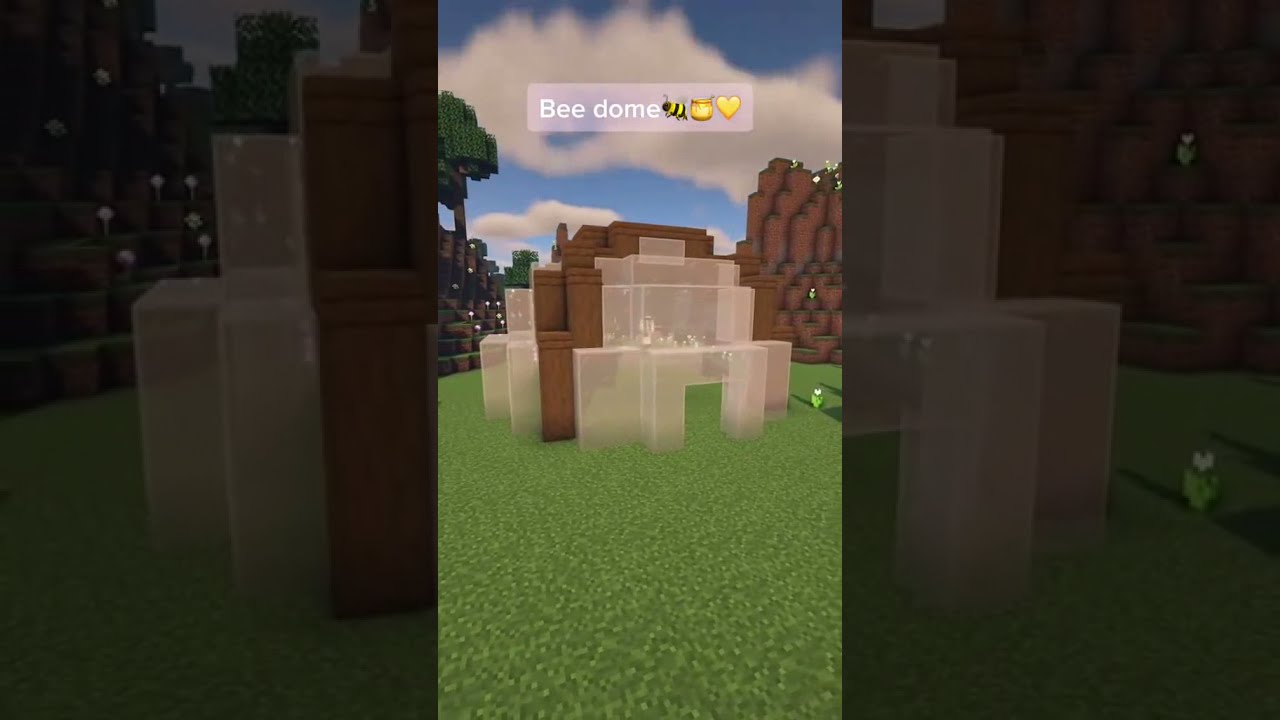 Minecraft: Building Bee dome - YouTube