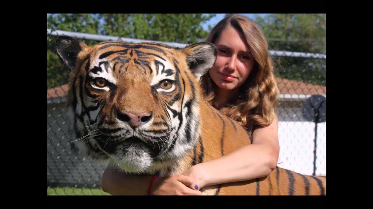 Tiger mount at Nature's Way Taxidermy Studio 2014 - YouTube