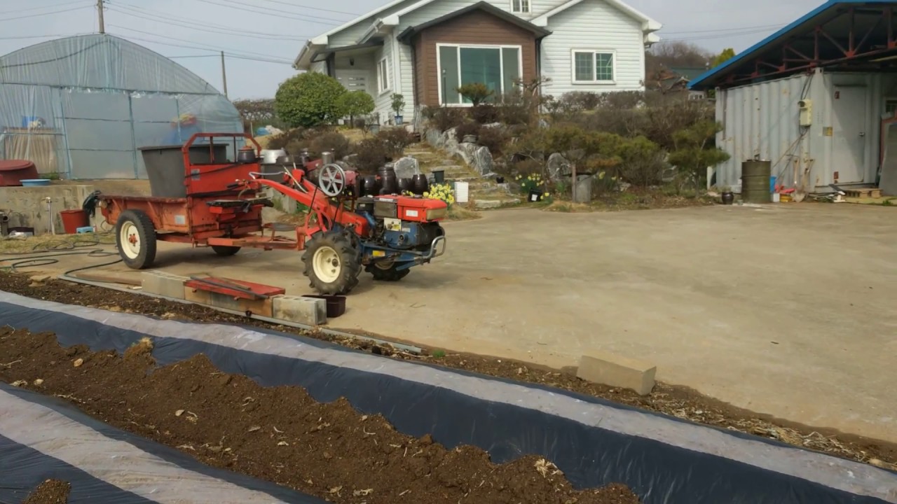 Farming in South Korea - YouTube