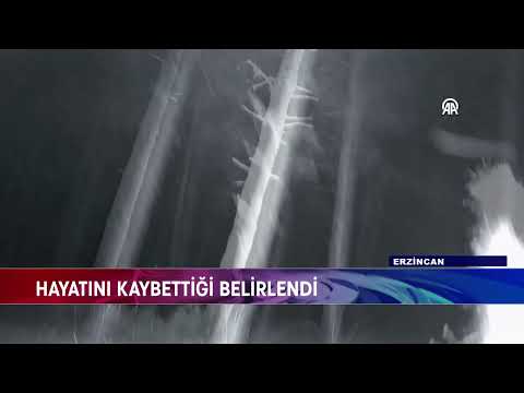 AVA ÇIKTI DOMUZ SALDIRDI