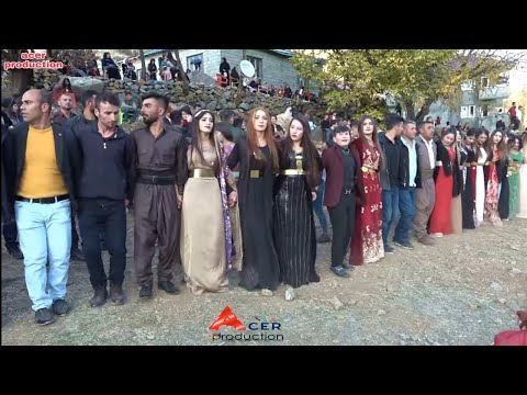 casım & zehra düğünü kurdish wedding govenda mılane