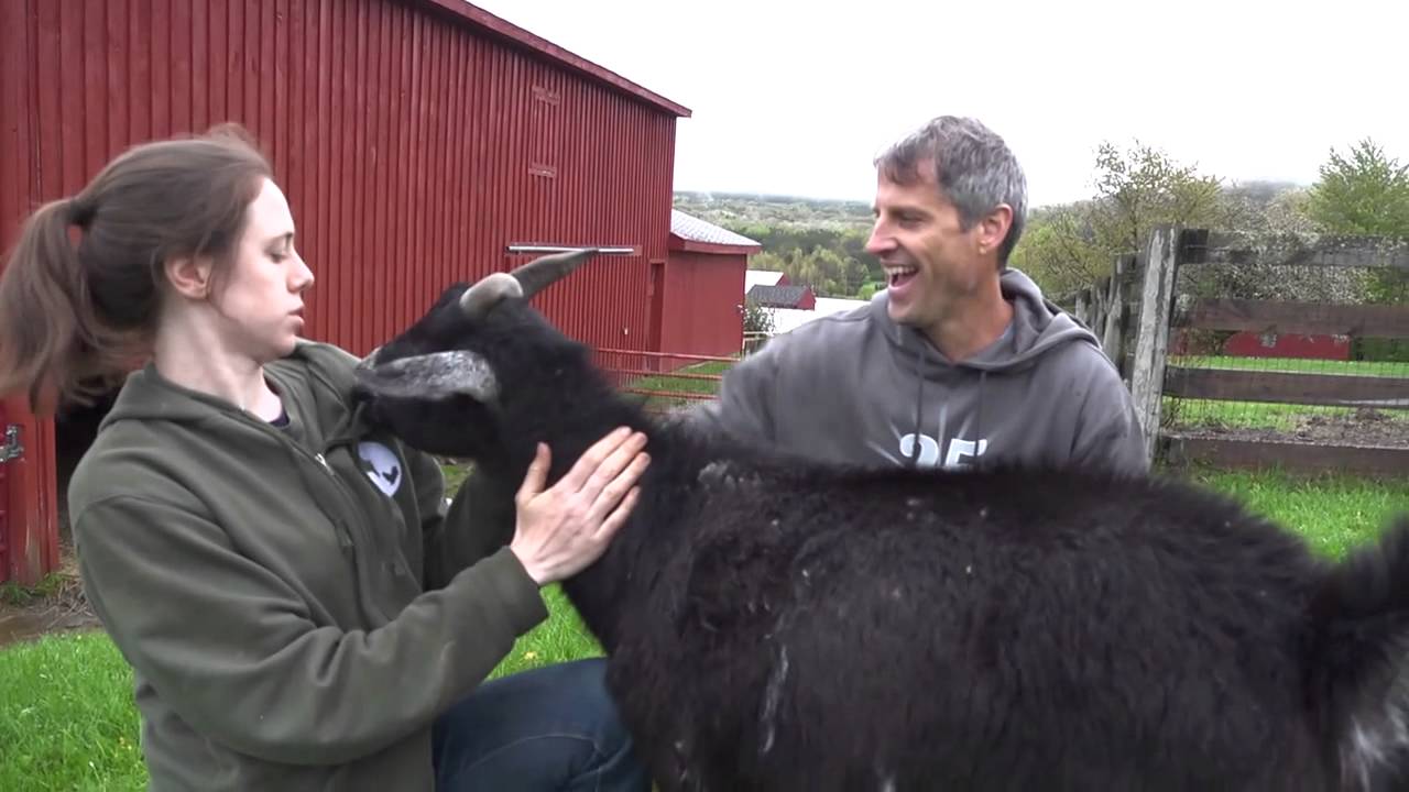 Just Eats Tour - A visit with Jack Goat - YouTube