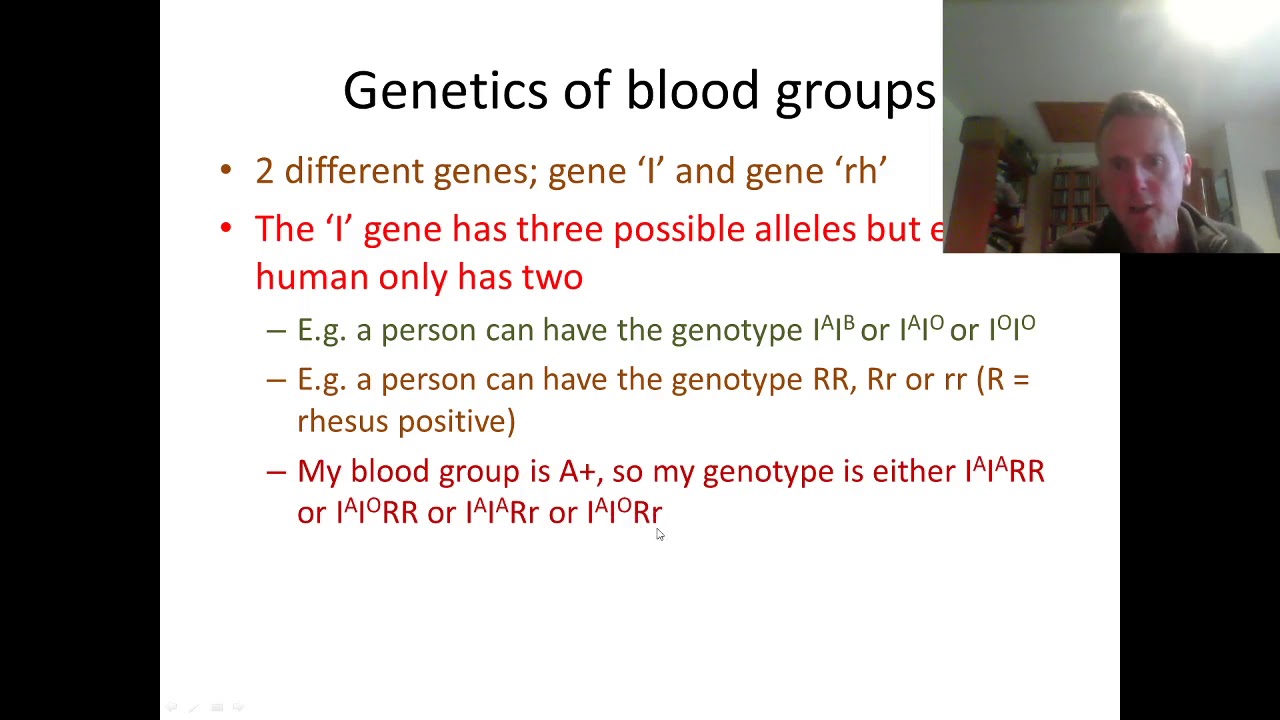 Y12 Blood group variation - YouTube