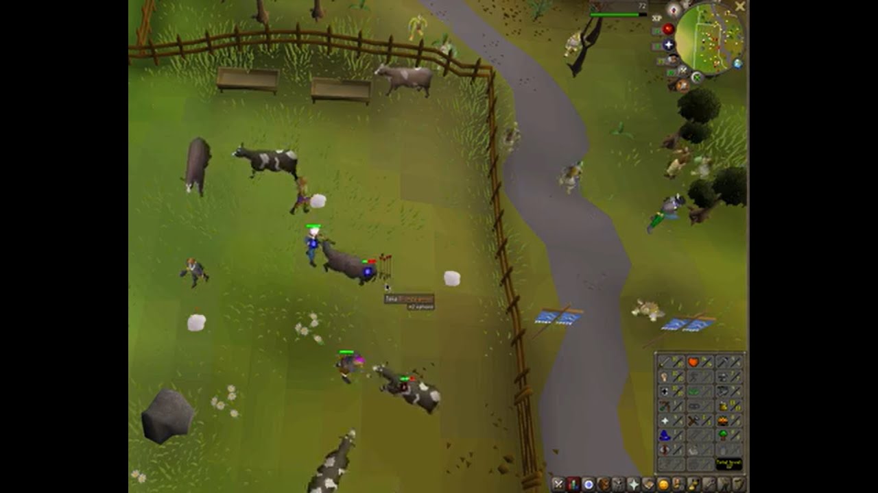 OS RuneScape Video 6 - YouTube