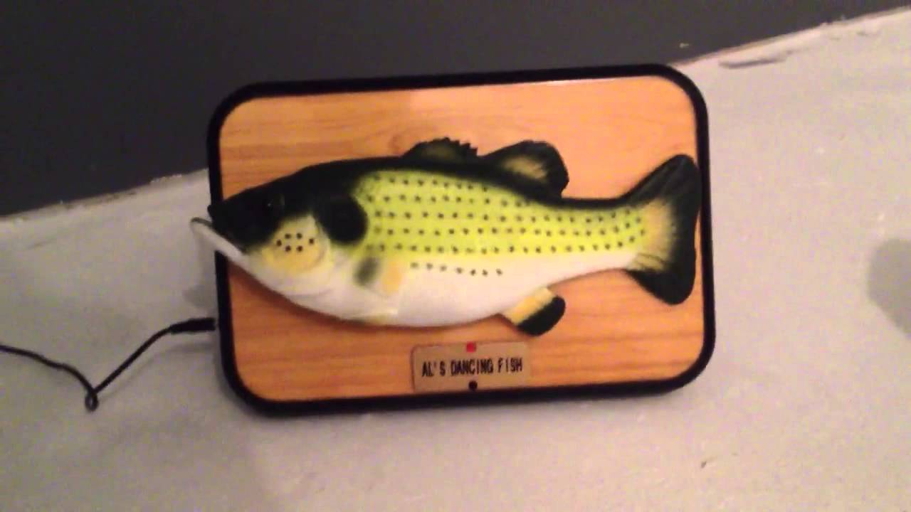 AL'S DANCING FISH - YouTube
