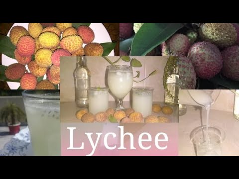 How to make fresh Lychee juice at home || Lychee juice recipe || Kauser ...
