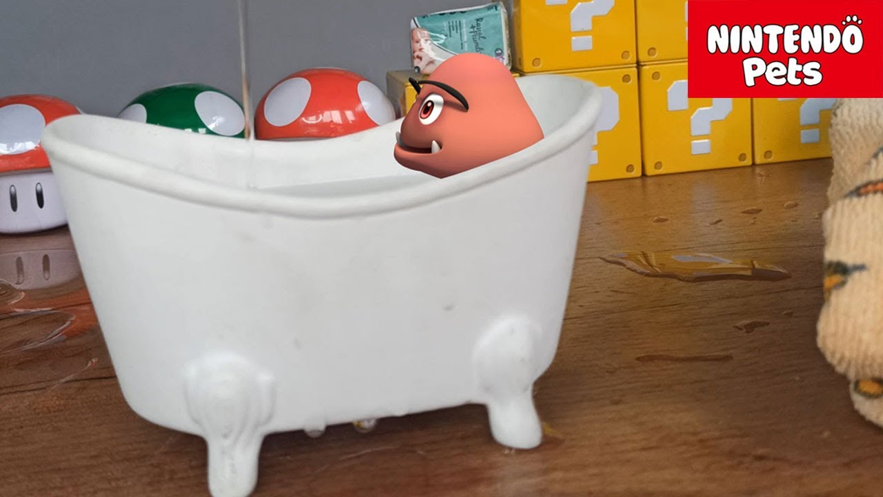 Taking care of my little Goomba #nintendo #supermario - YouTube