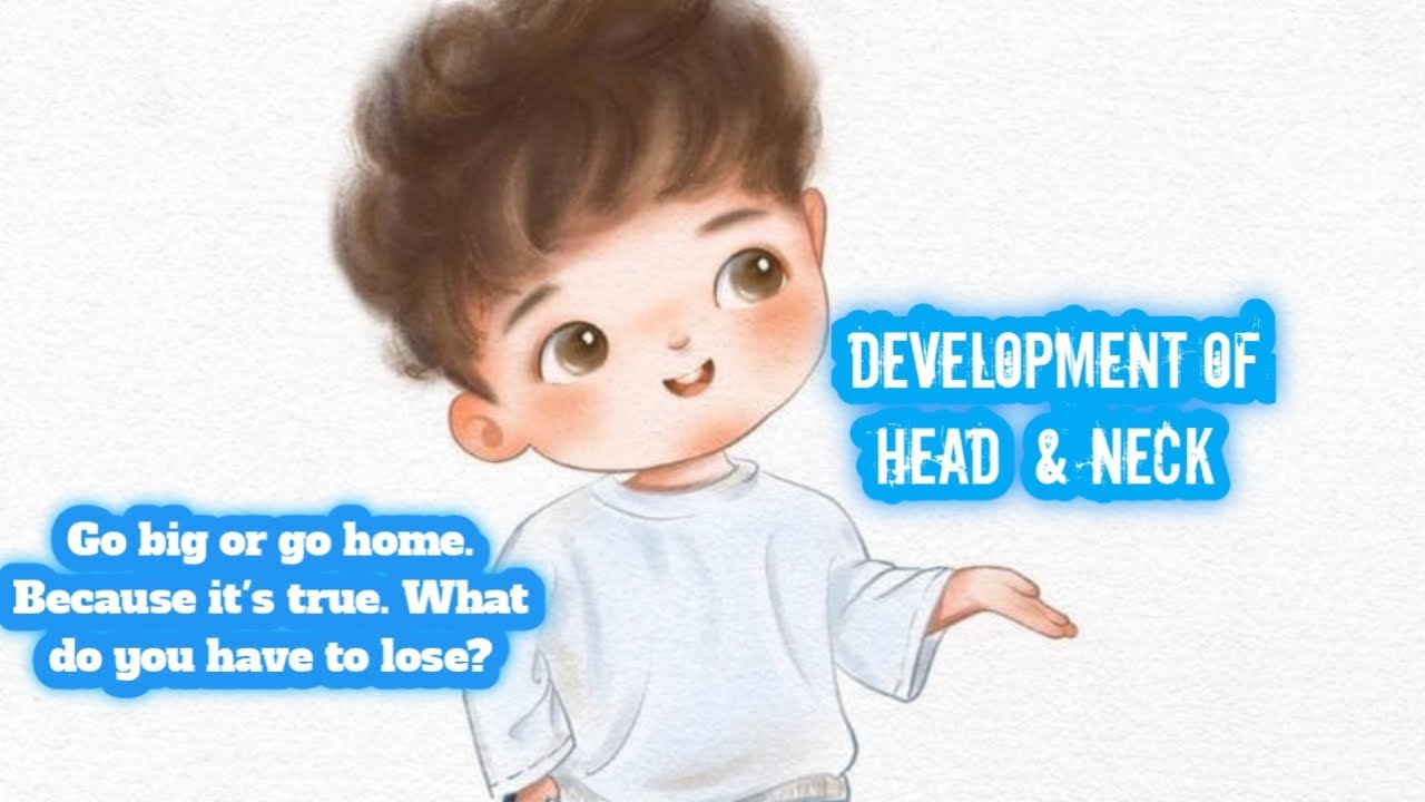 development of head & neck part- 2 embryology - YouTube
