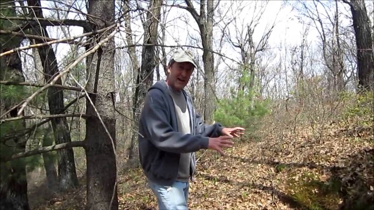 In Search of the lost ring at Silver Mound in Jackson Co WI. - YouTube