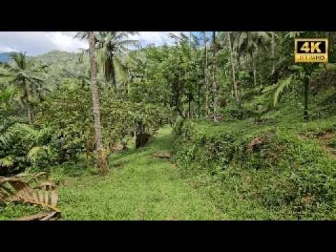 This Remote Village in South India is So Beautiful and Peaceful ...
