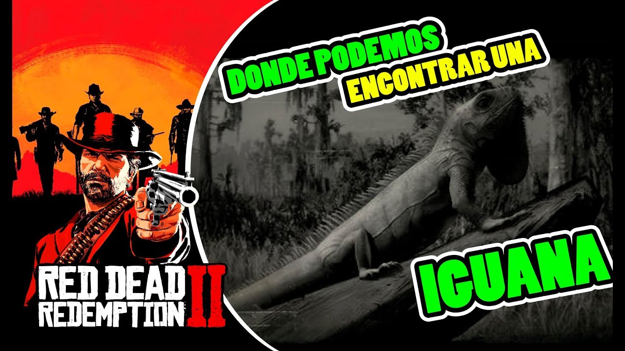 * Donde cazar IGUANA PERFECTO ESTADO * LOCALIZACIÓN EN RED DEAD ...