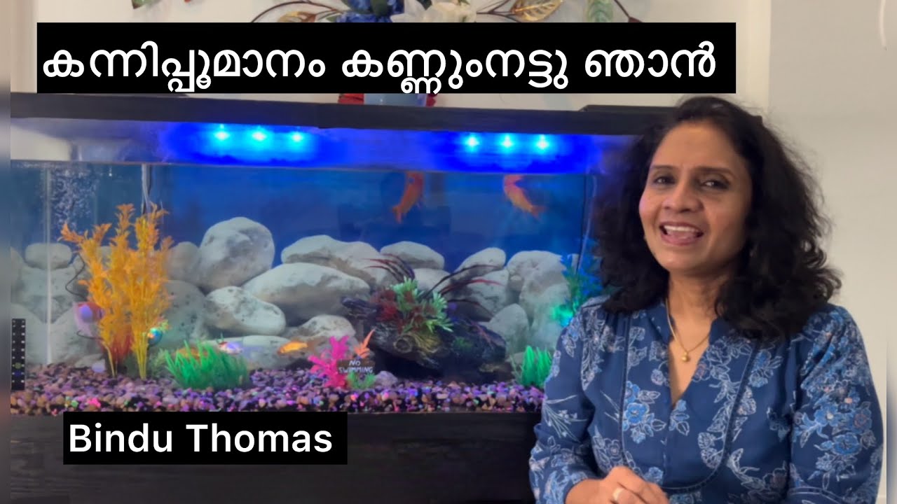 Kannipoo Maanam | Cover Song | Bindu Thomas - YouTube