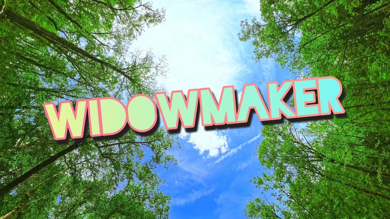 Widowmaker - The Buffalo National River tree that got nearly everybody ...