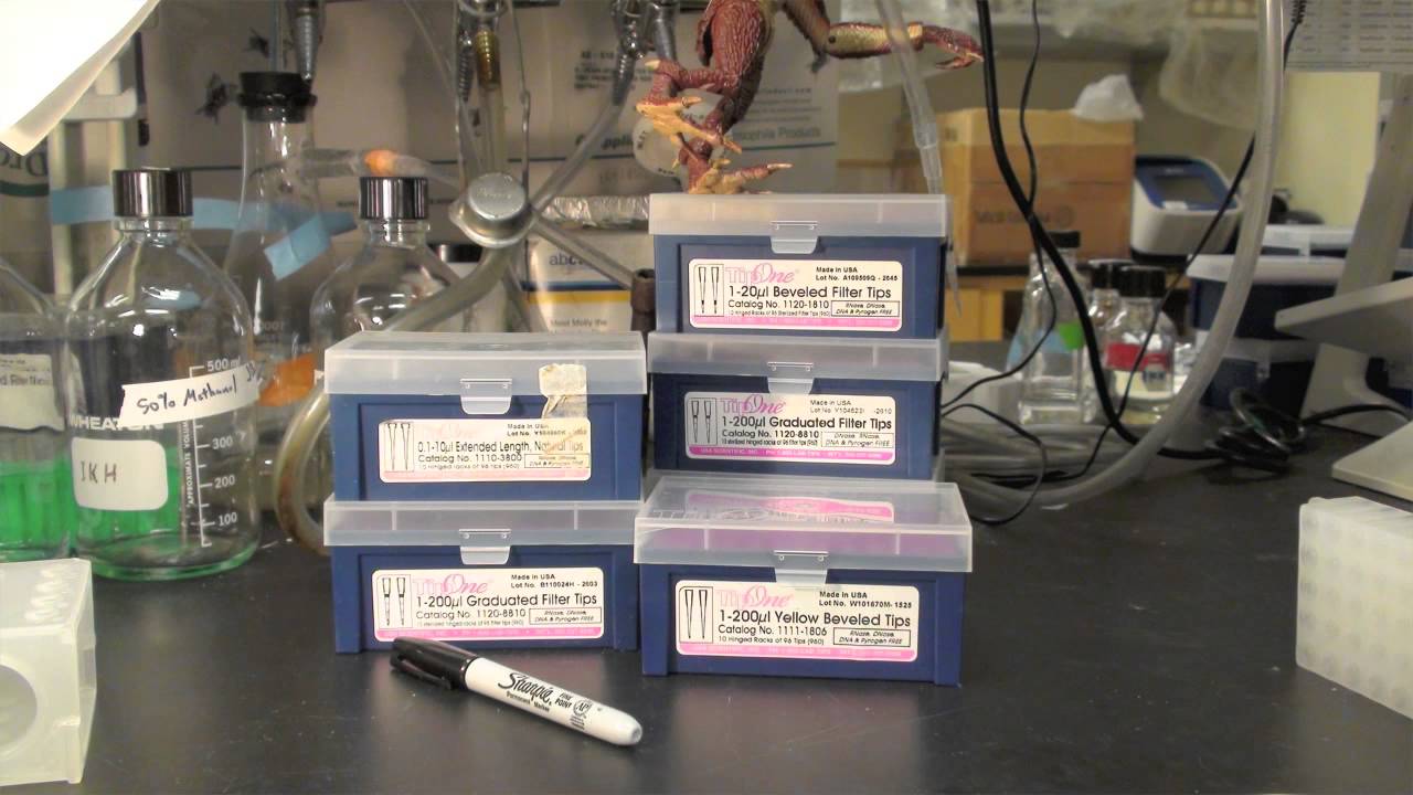 Lab Gremlin - YouTube