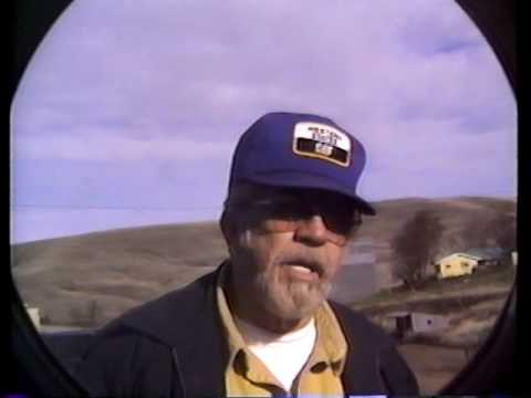 04 Poem about sheep shearing 1996 - YouTube