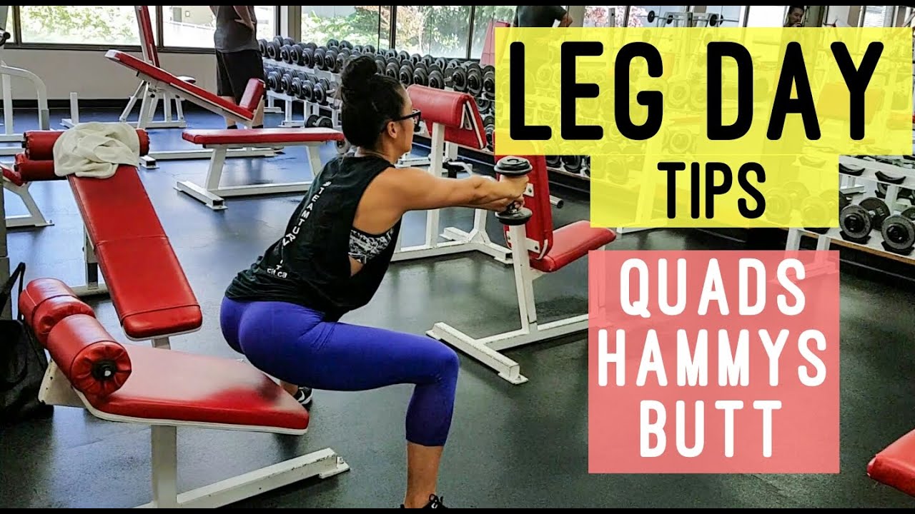 LEG Training Tips: Quads + Hammys + Butt - YouTube