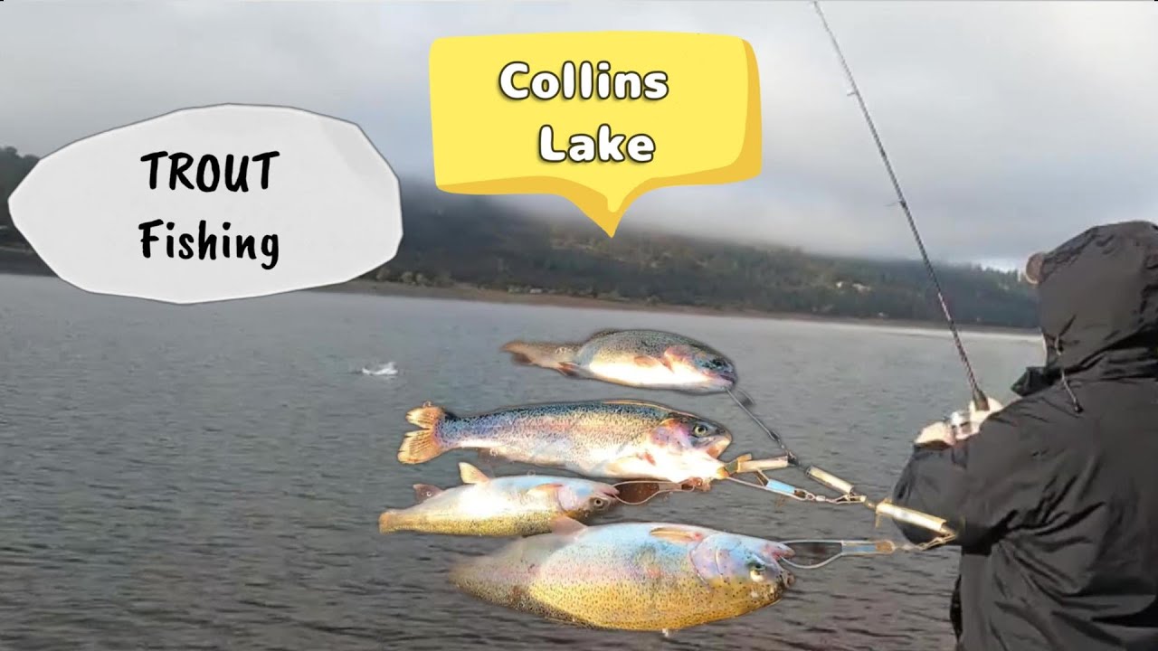 Collins Lake Trout Fishing 12/01/2025 - YouTube