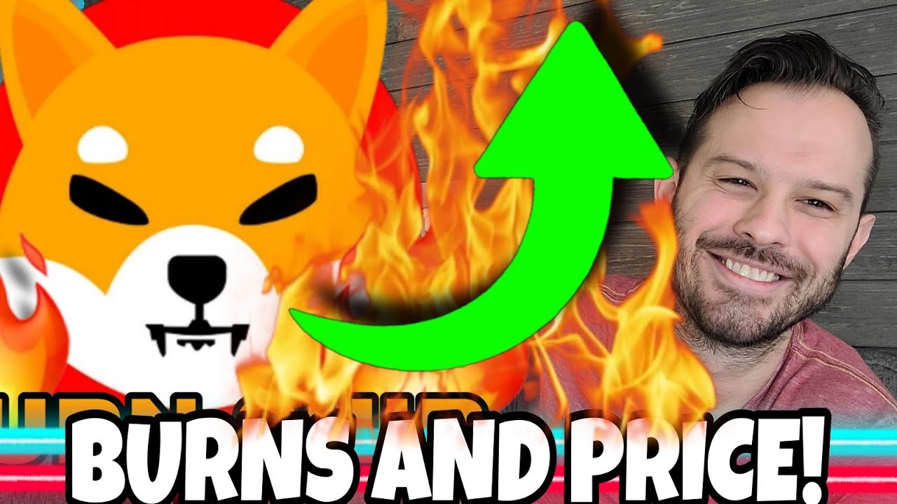 Shiba Inu Coin | SHIB Burns And SHIB Price Rising! - YouTube