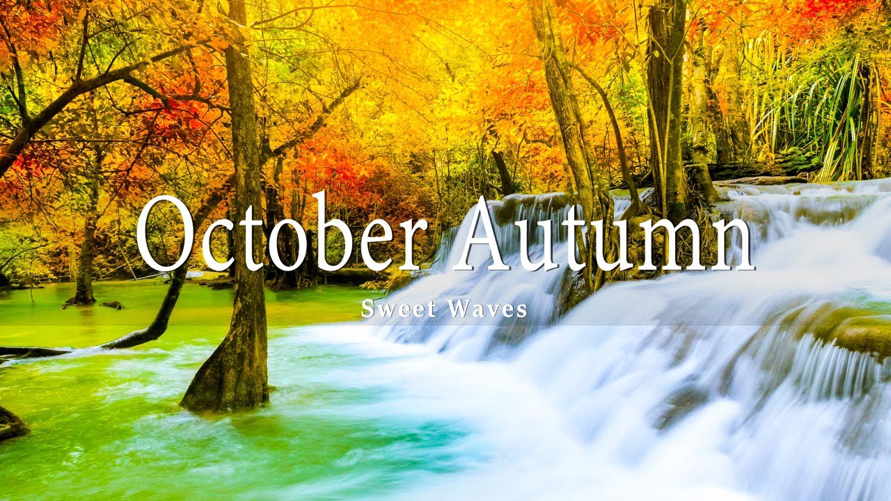 11 HRS Incredible Fall Foliage - Best 4K Autumn Nature Scenes from ...