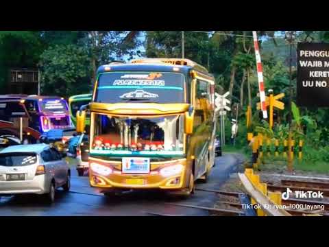 Bus oleng🚌🤙 - YouTube