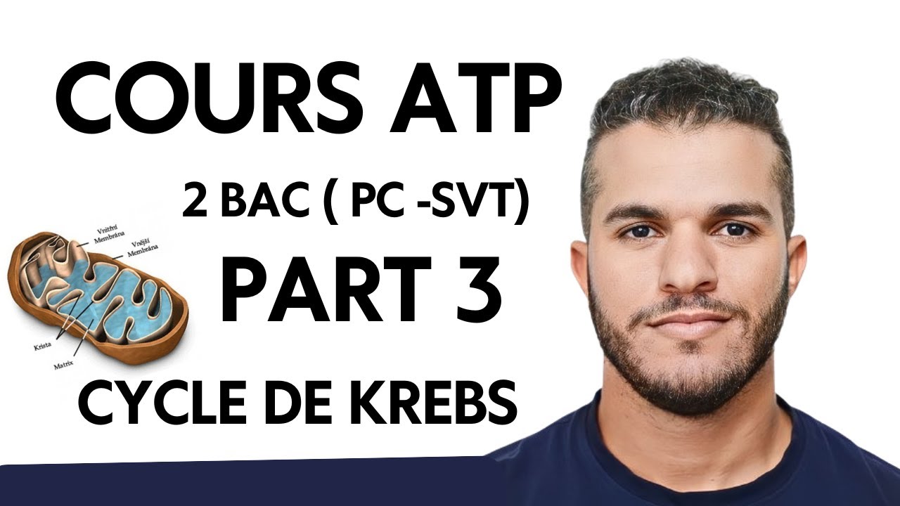 ATP 2 Bac | Cycle de krebs Part 3 du cours - YouTube