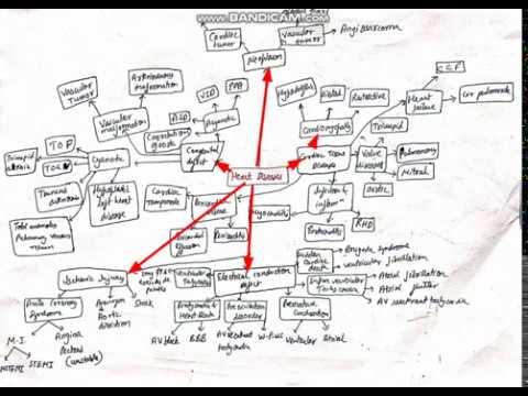 cardiology basics/ heart disease division/ mindmap - YouTube