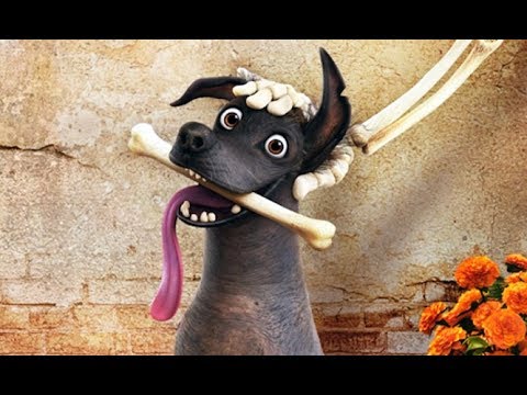 EL ALMUERZO DE DANTE un cuento corto de la película COCO - YouTube