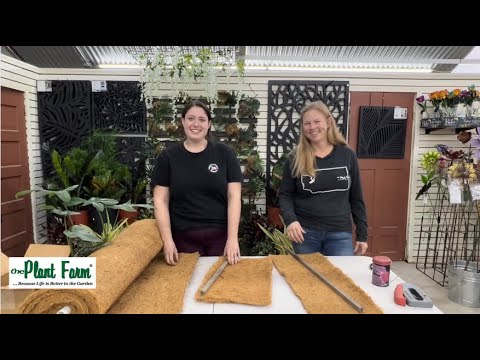 How To Make A Coco Moss Liner Stake for Your Plant -The Plant Farm ...