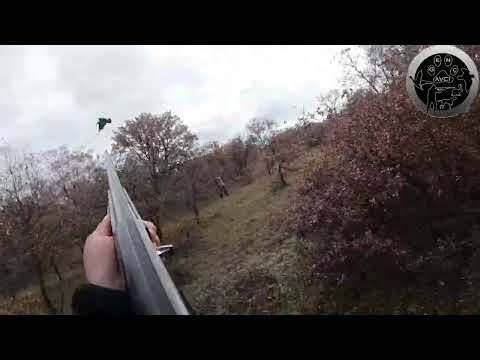 En Net 15 Çulluk Vuruşları 2022/Top 15 Woodcock Shooting- GENÇ AVCI
