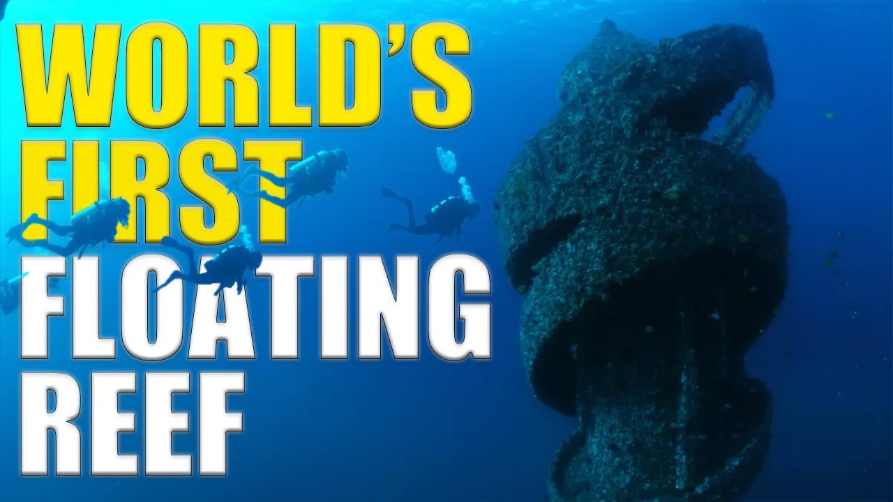 Scuba Diving The WORLD'S First FLOATING REEF!! - Wonder Reef 🇦🇺 - YouTube