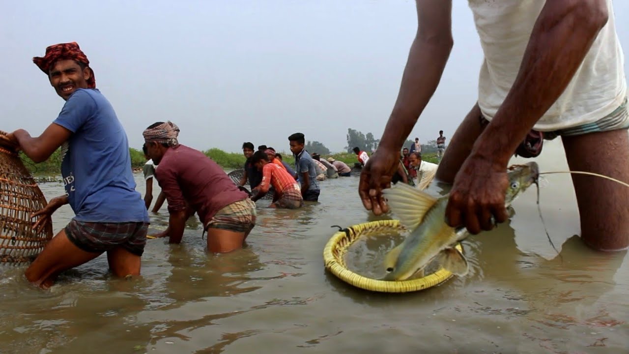 সিলেটি পলো ভাওয়া উৎসব । Traditional Fishing System In the Village ...