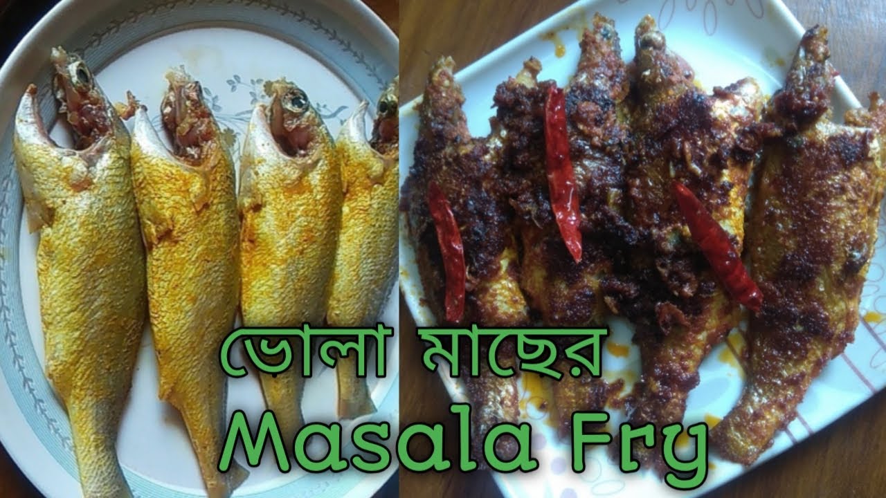 Bhola fish masala fry/ Vola fish/ Barramundi fish/ tasty fish fry ...